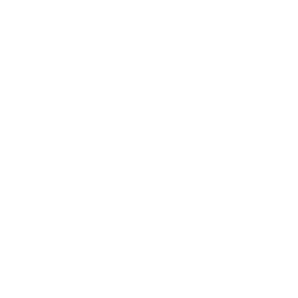FROZEN MOMOS | FAT-TIGER